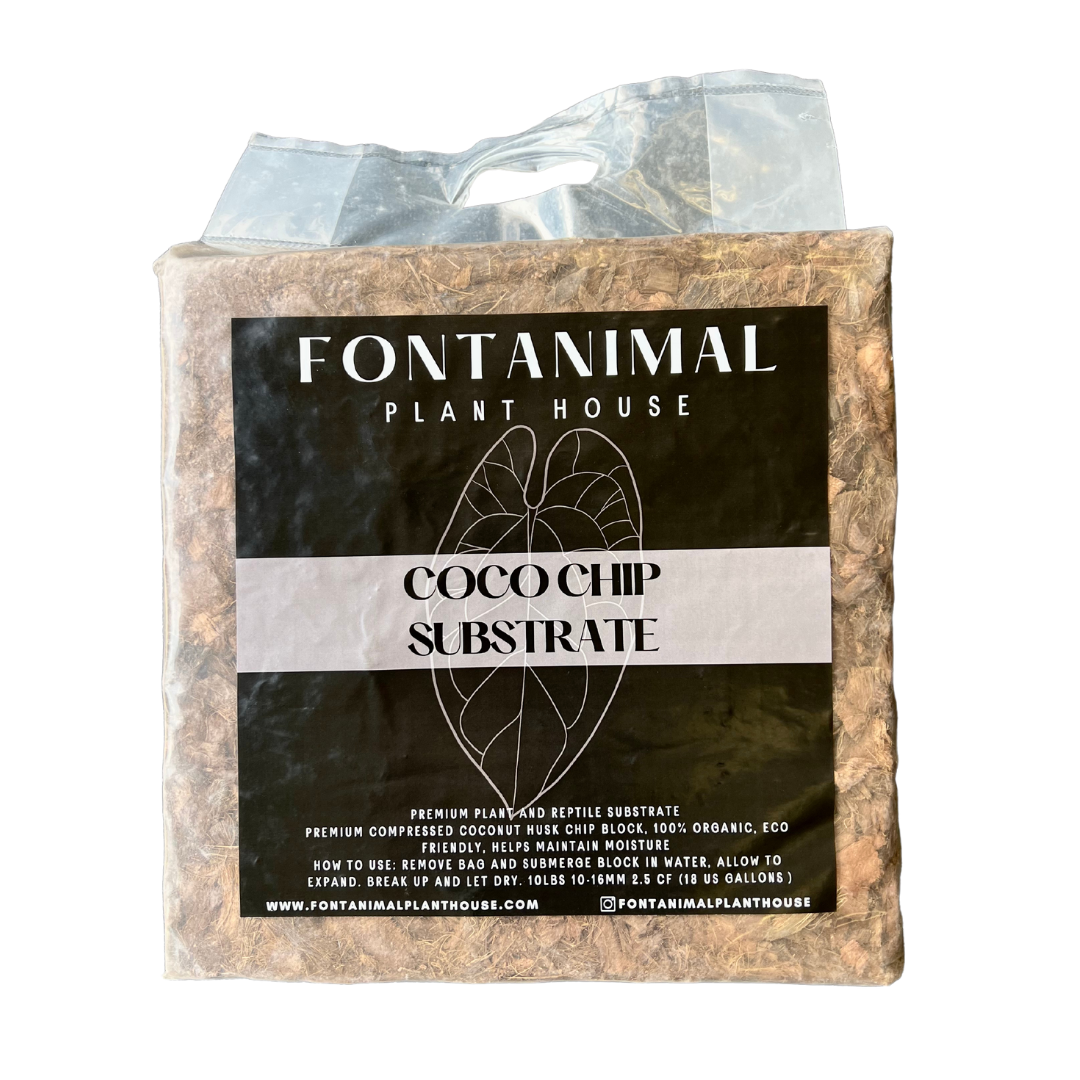 Coco Chip Substrate 10lbs 10-16MM 2.5 CF FREE SHIPPING – Fontanimal ...